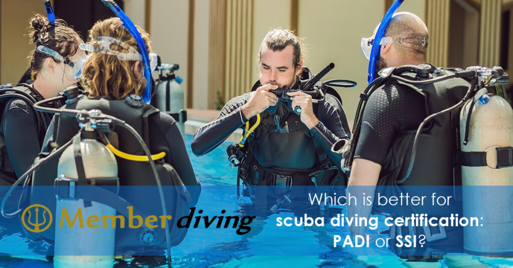 Which is better for scuba diving certification: PADI or SSI?